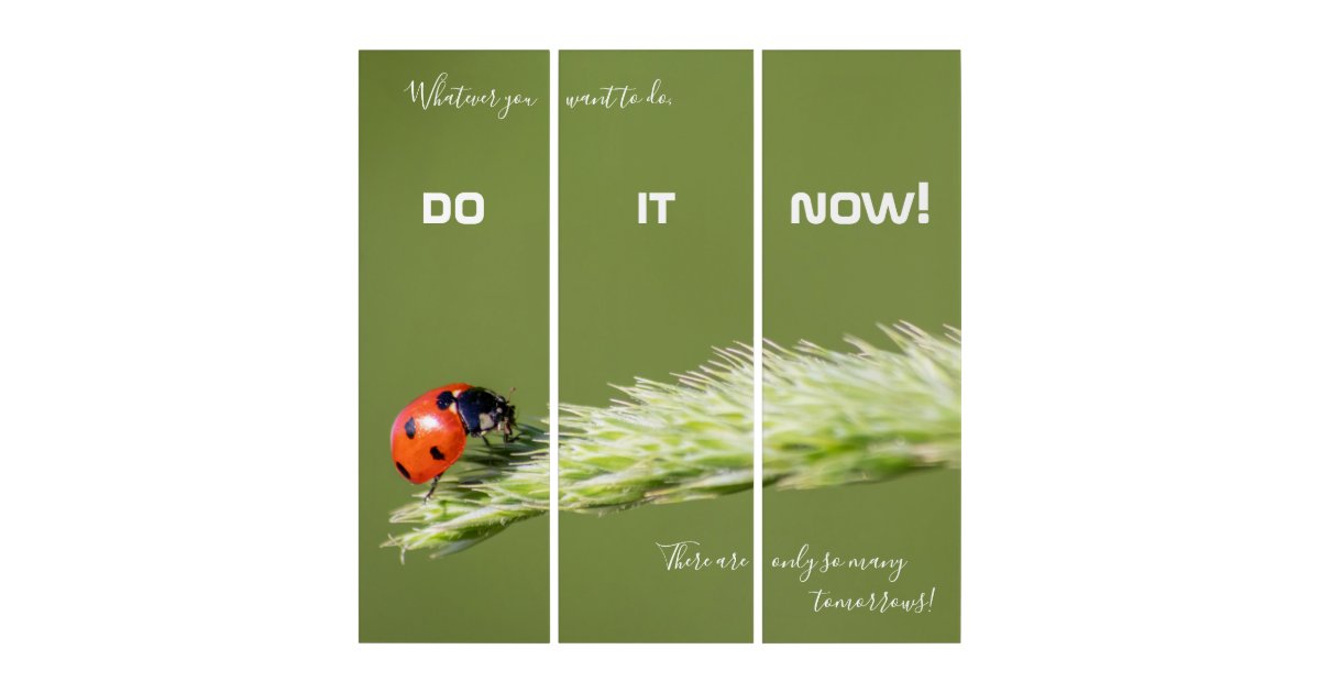 Motivational quote with good luck ladybug triptych | Zazzle
