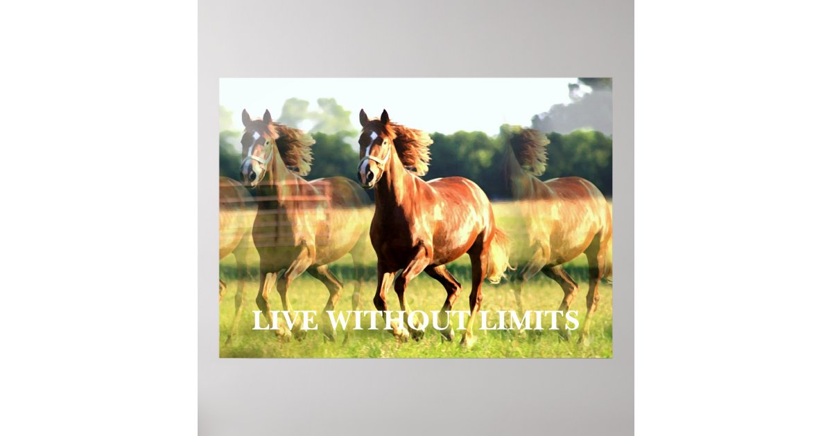 Motivational Running Horse Live Without Limits Poster | Zazzle