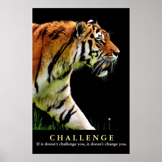 Motivational Tiger Challenge Quote Poster | Zazzle.com