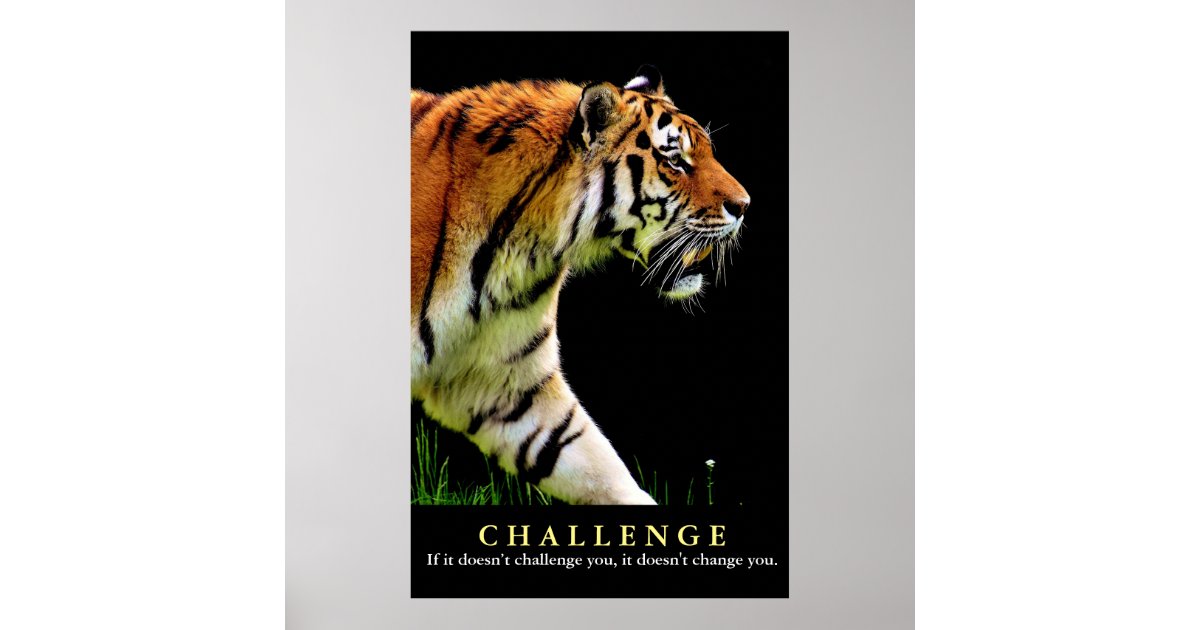 Motivational Tiger Challenge Quote Poster | Zazzle