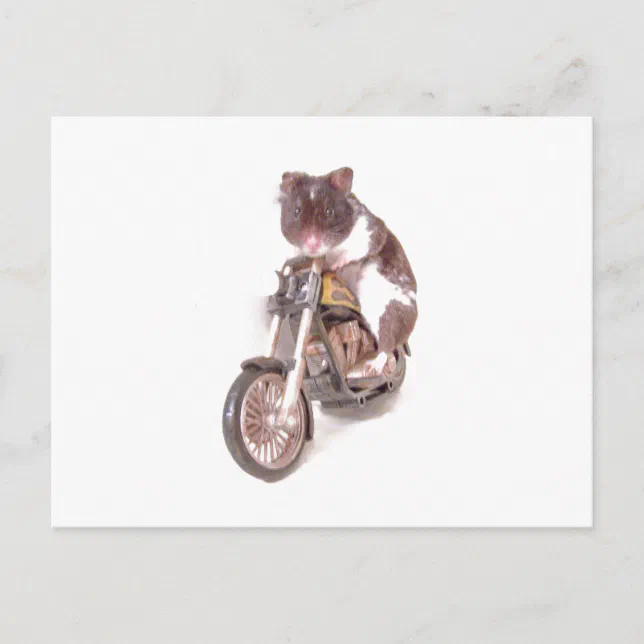 Motorcycle Hamster Postcard | Zazzle