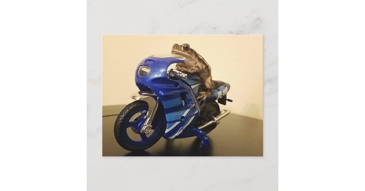 Motorcycle Toad Postcard | Zazzle