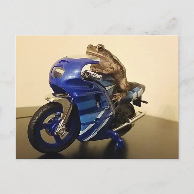 Motorcycle Toad Postcard | Zazzle