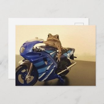 Motorcycle Toad Postcard | Zazzle