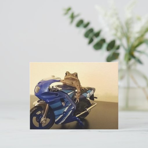 Motorcycle Toad Postcard | Zazzle