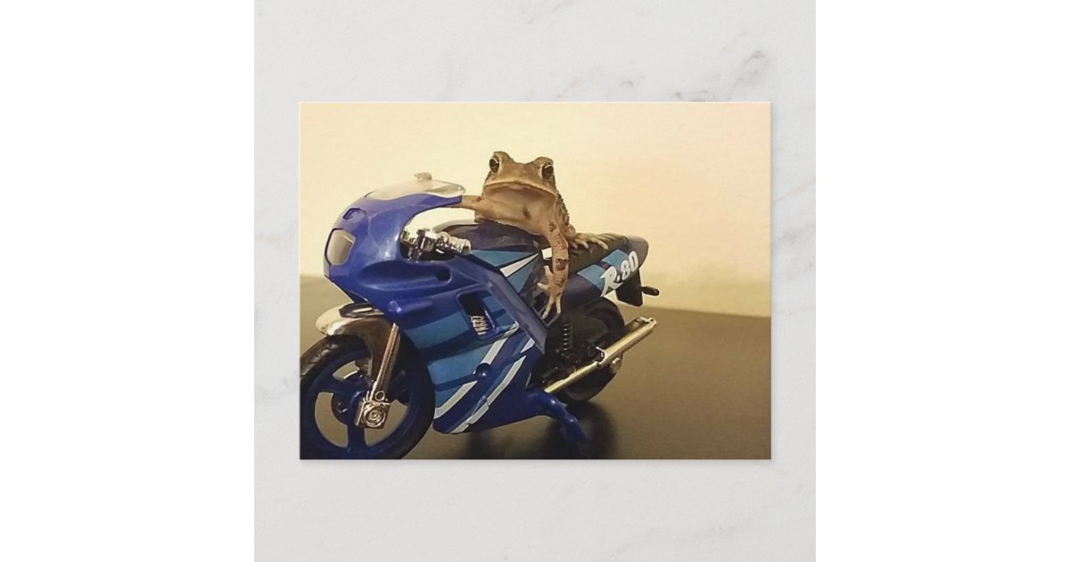 Motorcycle Toad Postcard | Zazzle