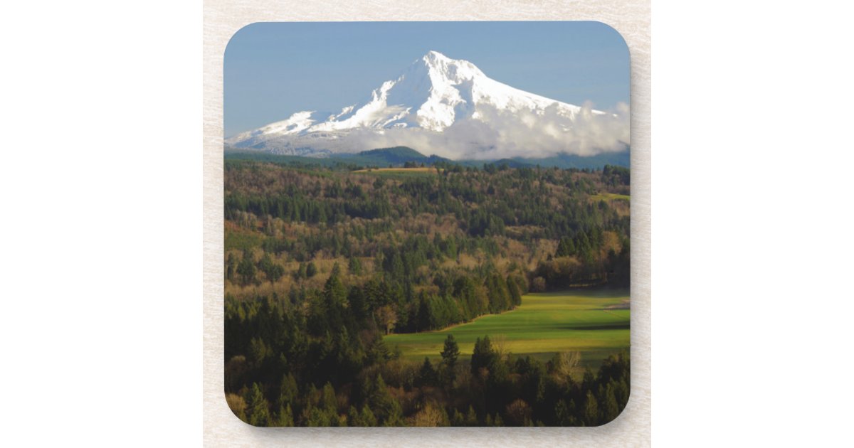 Mount Hood, Jonsrud Viewpoint, Sandy, Oregon Coaster | Zazzle