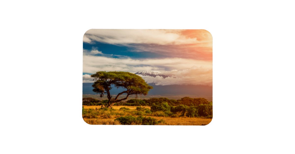 Mount Kilimanjaro | Amboseli, Kenya Magnet | Zazzle
