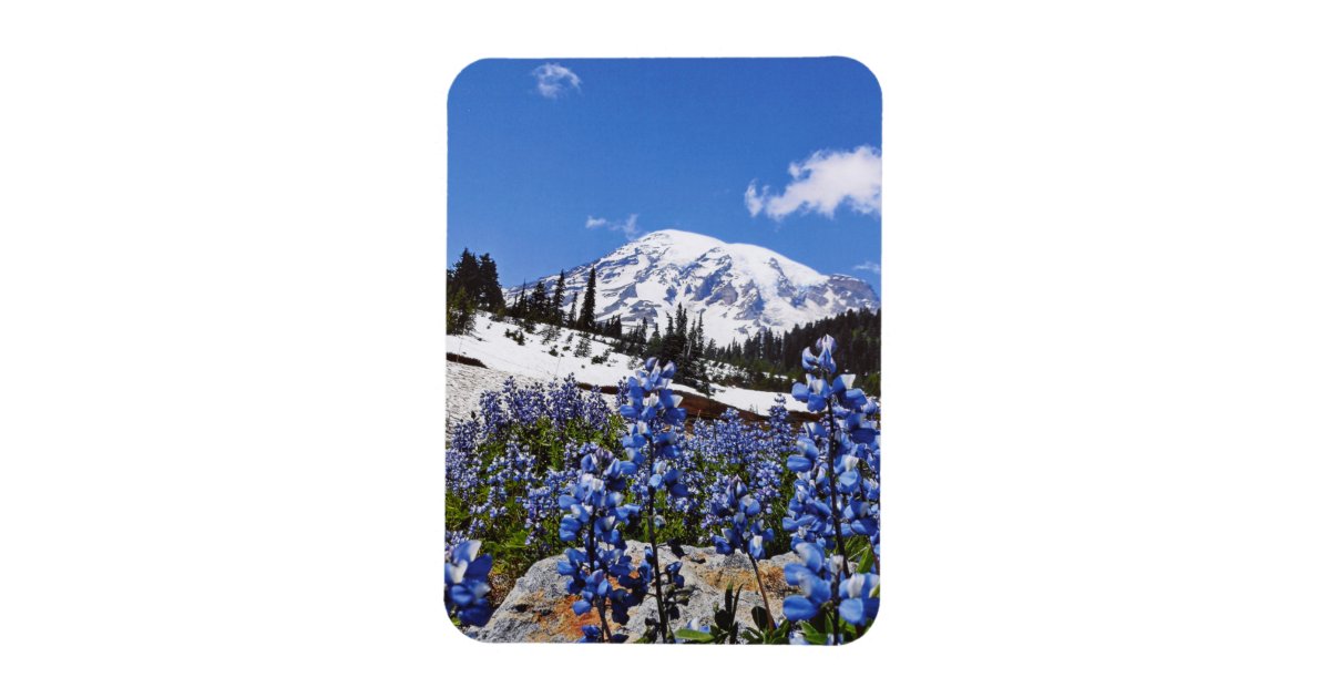 Mount Rainier at Paradise Point Magnet | Zazzle