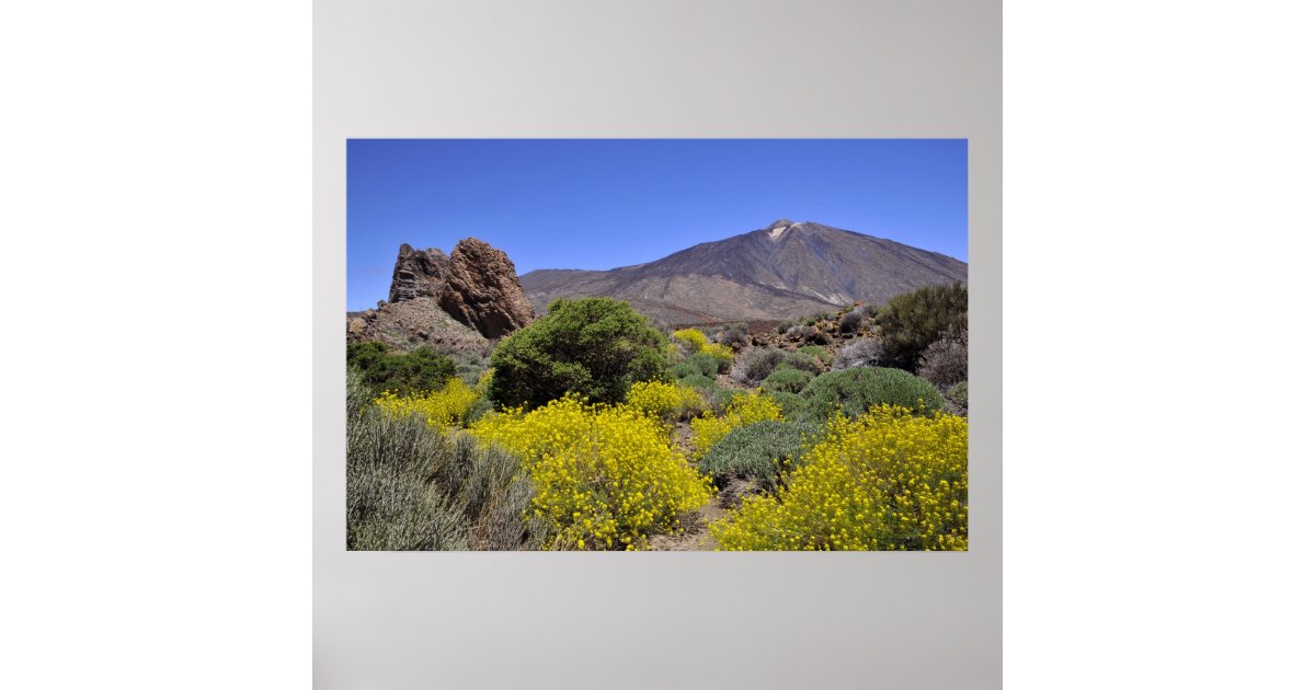 Mount Teide at Canary island Poster | Zazzle