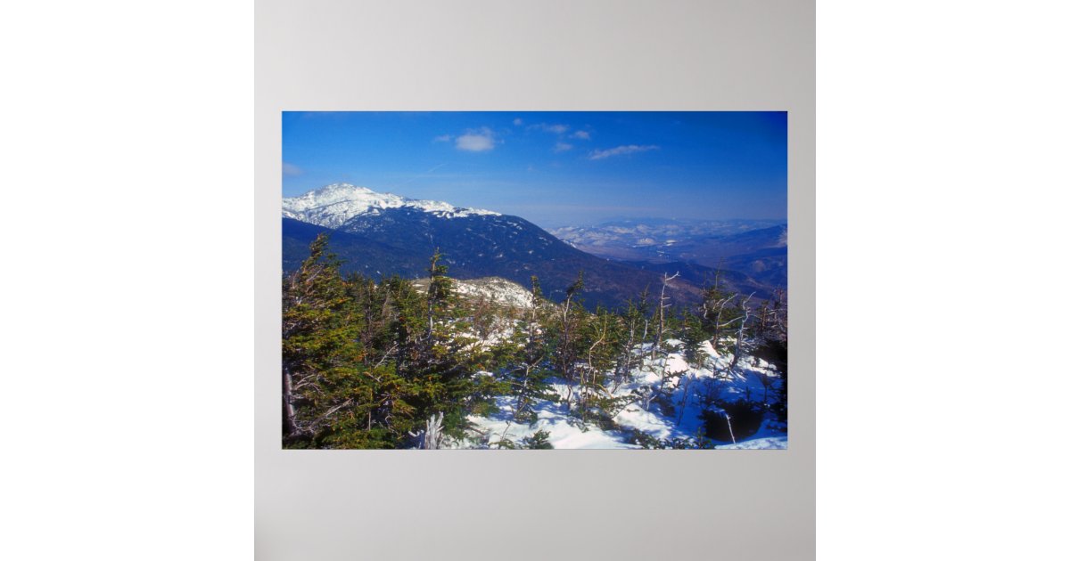 Mount Washington Winter Treeline View Poster | Zazzle