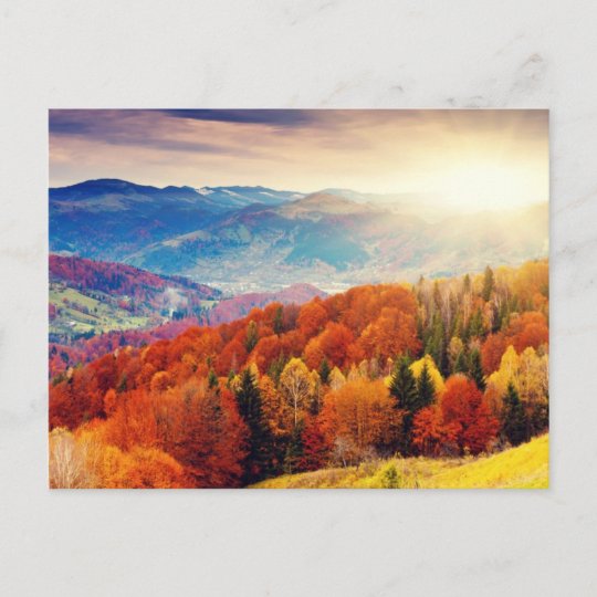 Mountain autumn forest landscape postcard | Zazzle.com