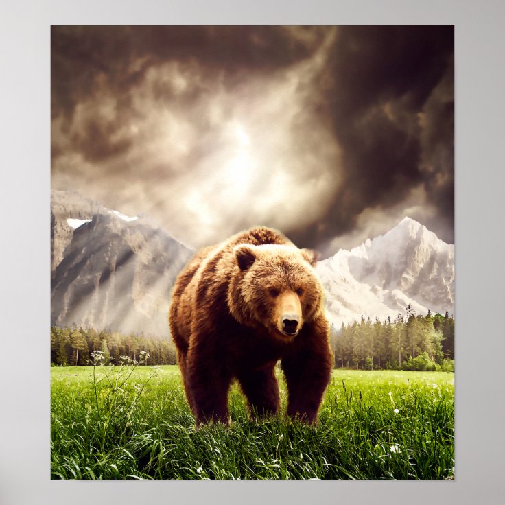 Mountain Bear Poster | Zazzle
