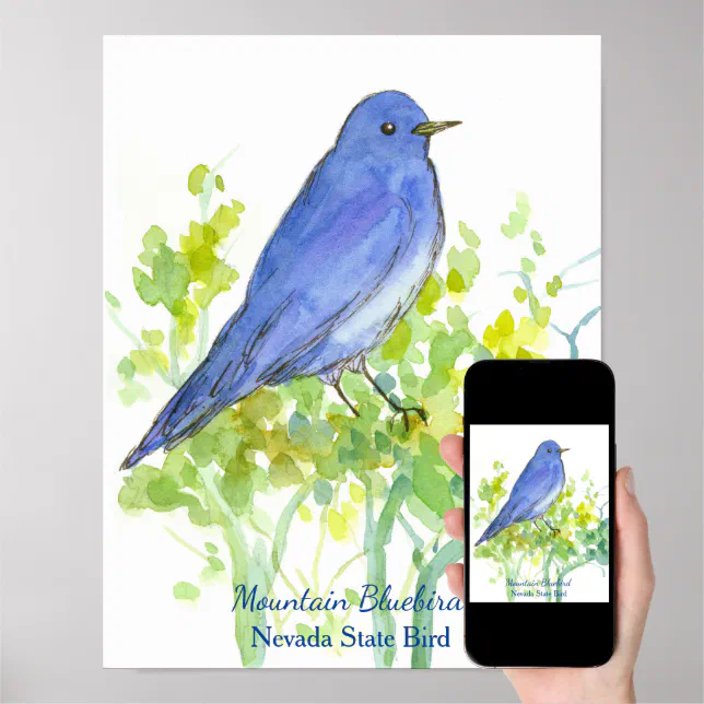Mountain Bluebird Nevada State Bird Watercolor Poster | Zazzle
