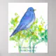 Mountain Bluebird Nevada State Bird Watercolor Poster | Zazzle