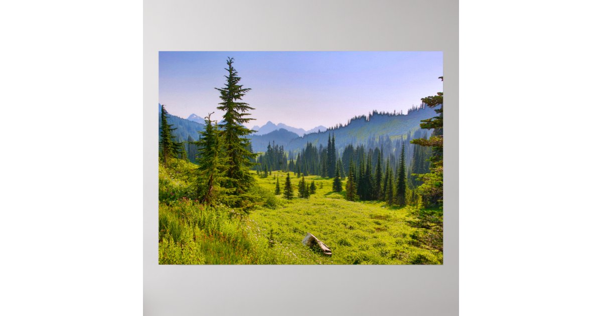 Mountain & Forest Landscape Washington State Poster | Zazzle
