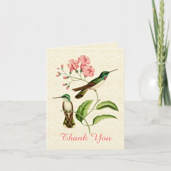 Hummingbird Cards | Zazzle