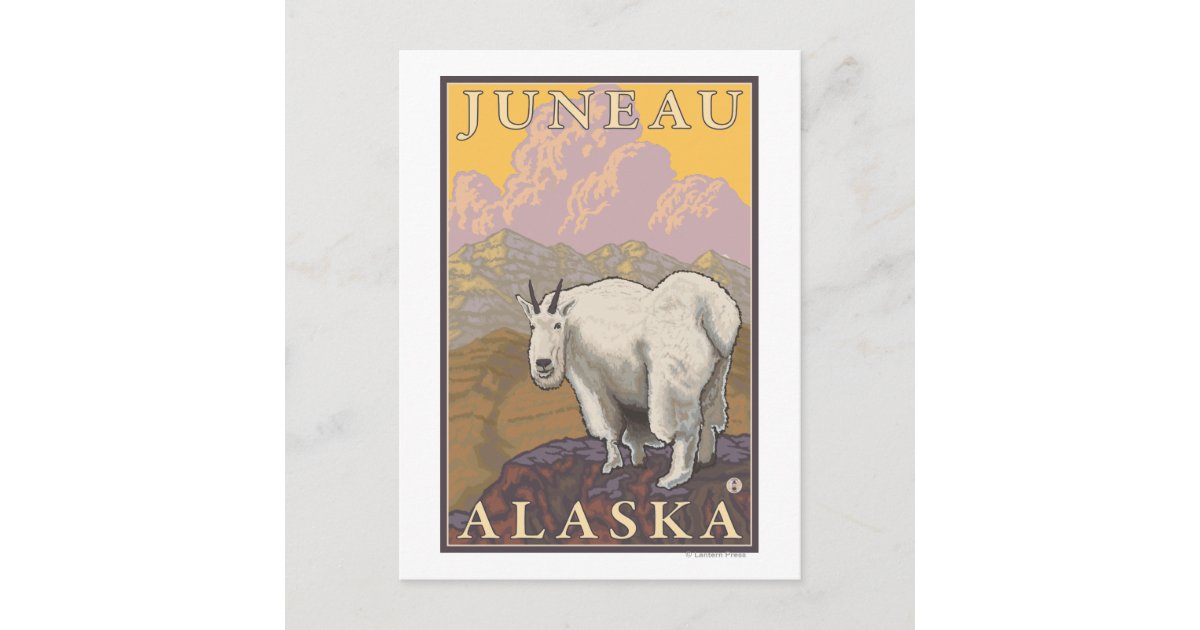 Mountain Goat - Juneau, Alaska Postcard | Zazzle