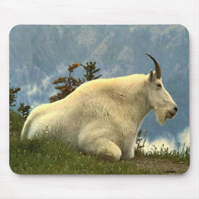Mountain Goat Mouse Pad | Zazzle