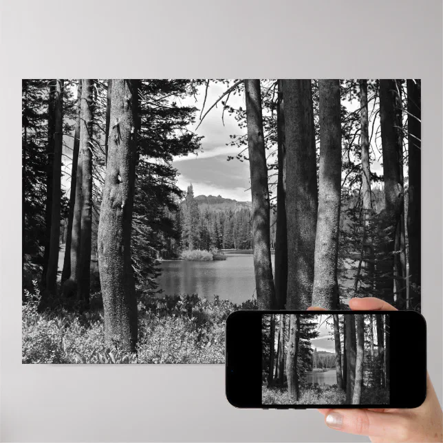 Mountain Lake, Forest, Black and White Poster | Zazzle