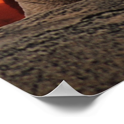 Mountain lion at sunset poster | Zazzle