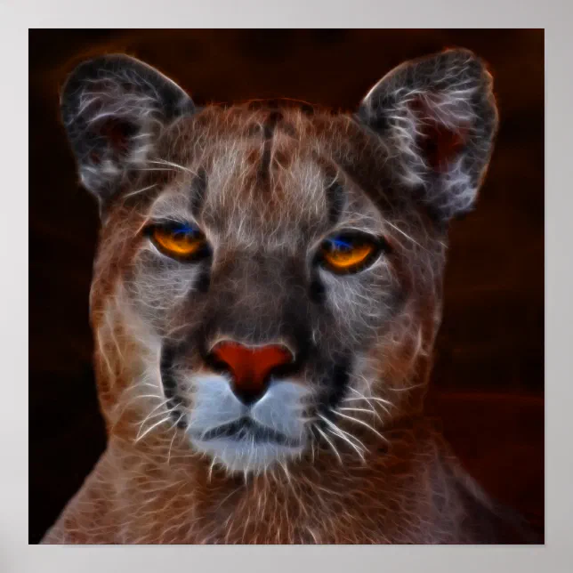 Mountain lion puma poster | Zazzle