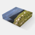 MOUNTAIN SHEEP PAPERWEIGHT | Zazzle
