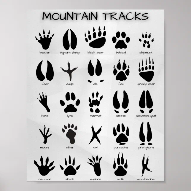Mountain Tracks Poster | Zazzle