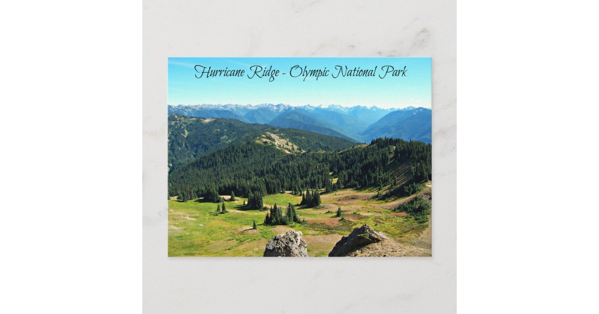 Mountain Vista of Hurricane Ridge Postcard | Zazzle