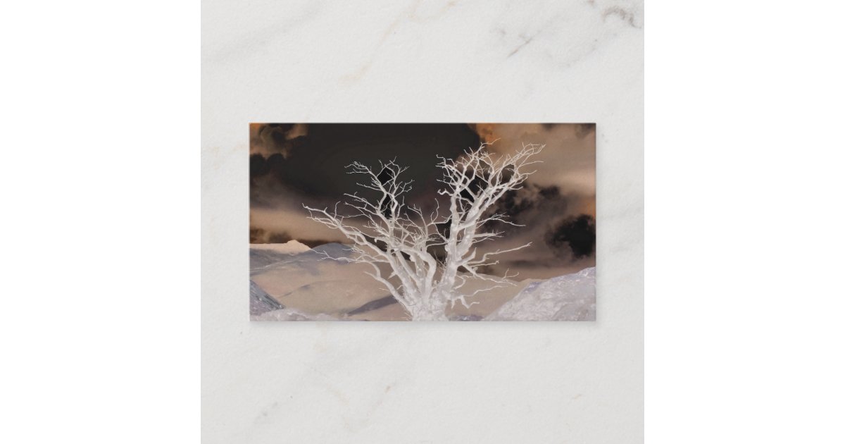 MOUNTAIN WINTER BUSINESS CARD | Zazzle
