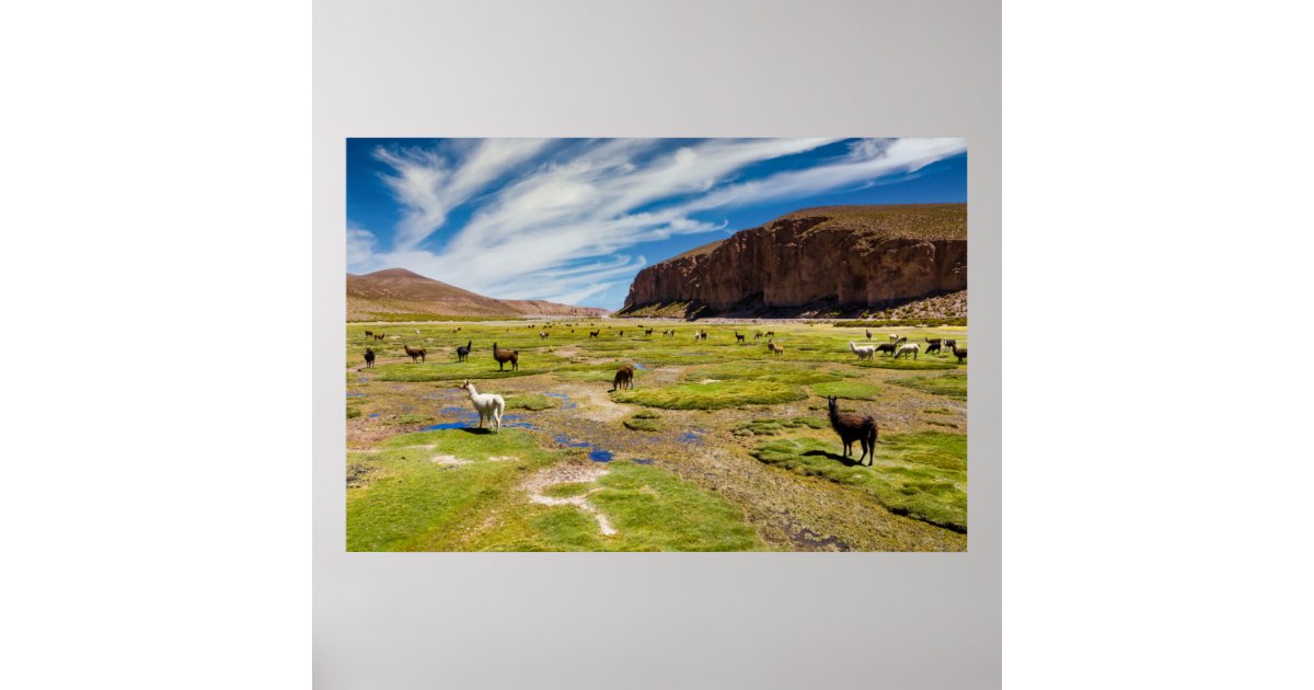 Mountains | Bolivian Andes Poster | Zazzle