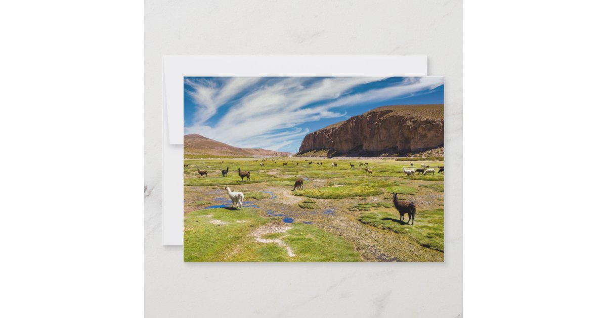 Mountains | Bolivian Andes Thank You Card | Zazzle