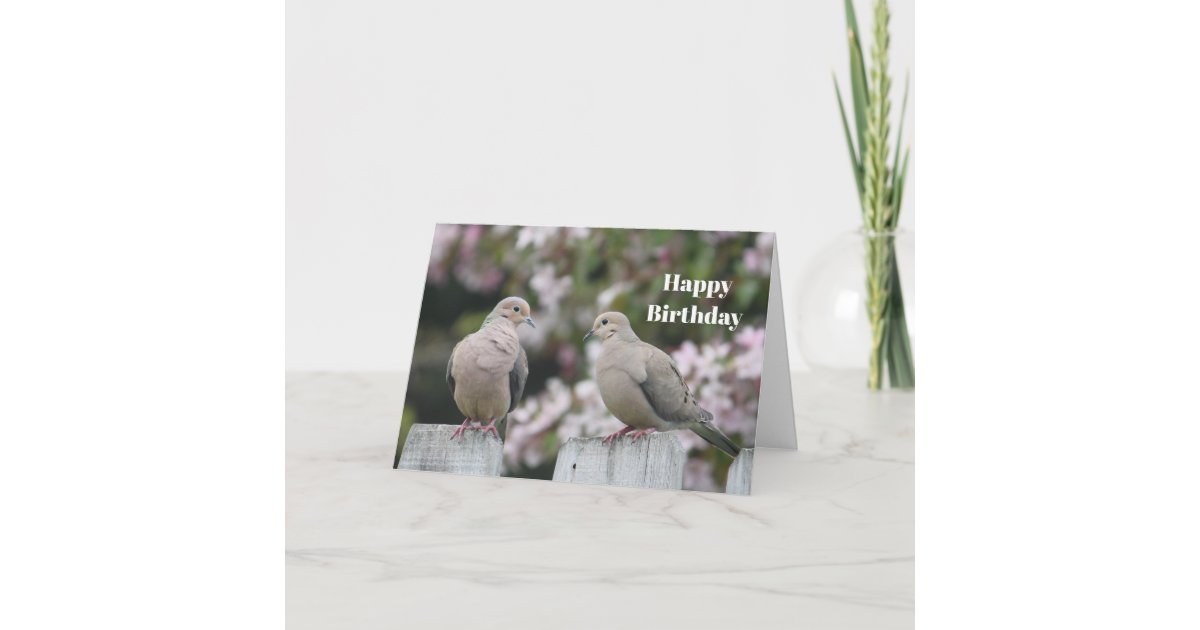 Mourning Doves Photo Birthday Card | Zazzle