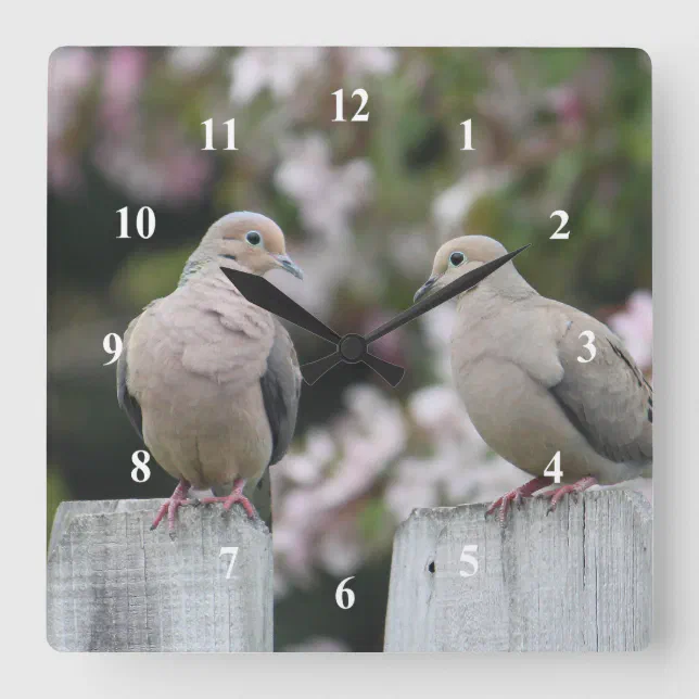 Mourning Doves Photo Square Wall Clock | Zazzle