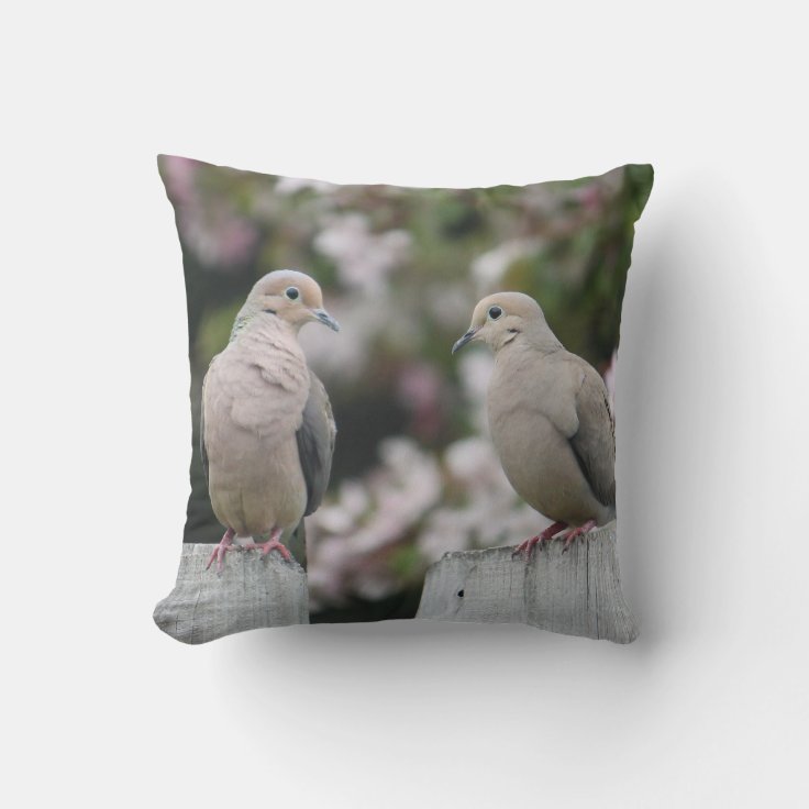 Mourning Doves Photo Throw Pillow | Zazzle