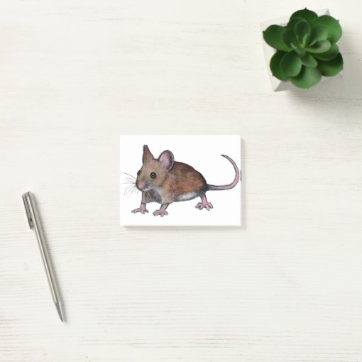 MOUSE, Brown Field Mouse Illustration Post-it Notes | Zazzle