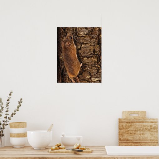 Mouse Climbing Tree Poster | Zazzle
