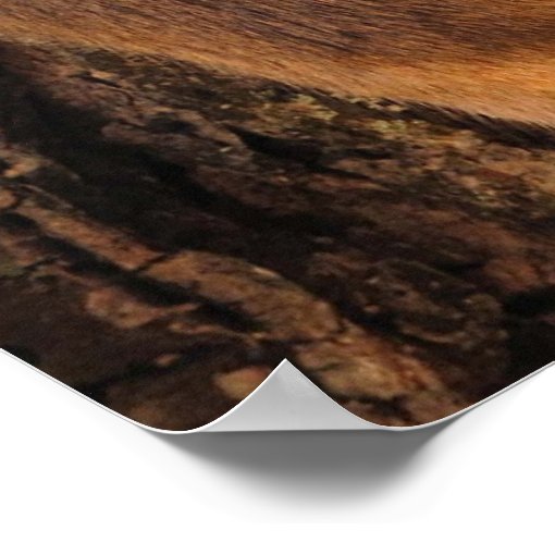 Mouse Climbing Tree Poster | Zazzle