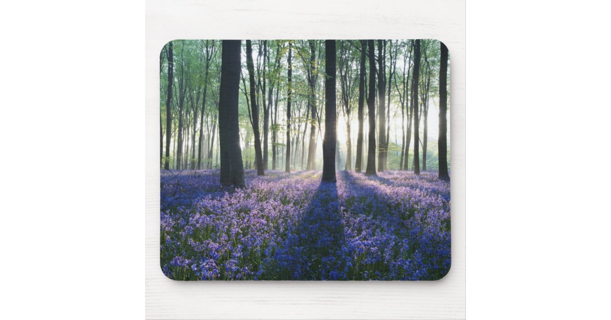 Mouse Pad-Forest Mouse Pad | Zazzle