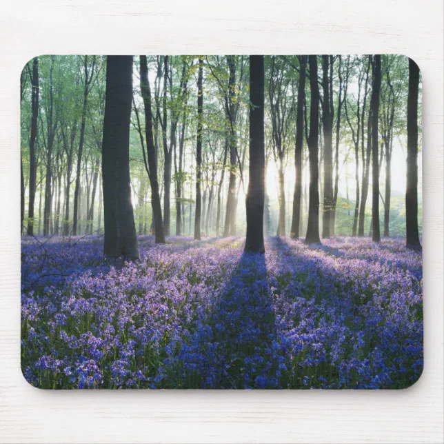 Mouse Pad-Forest Mouse Pad | Zazzle