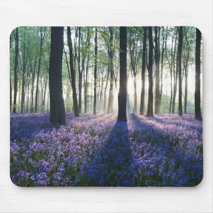 Mouse Pad-Forest Mouse Pad | Zazzle.com