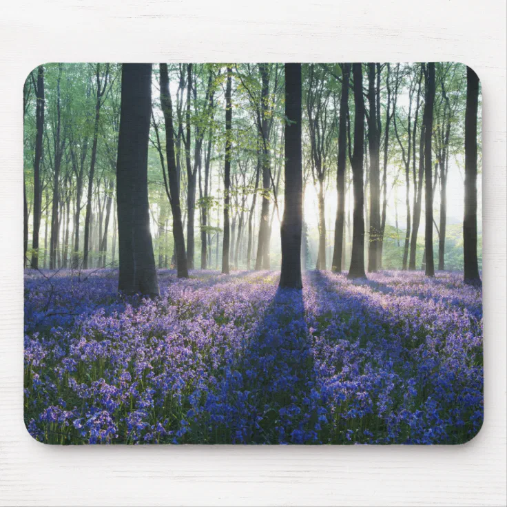 Mouse Pad-Forest Mouse Pad | Zazzle