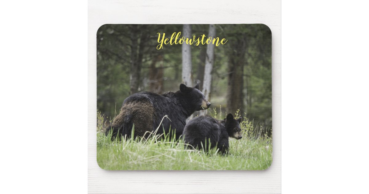 Mouse Pad-Yellowstone Bear Mouse Pad | Zazzle