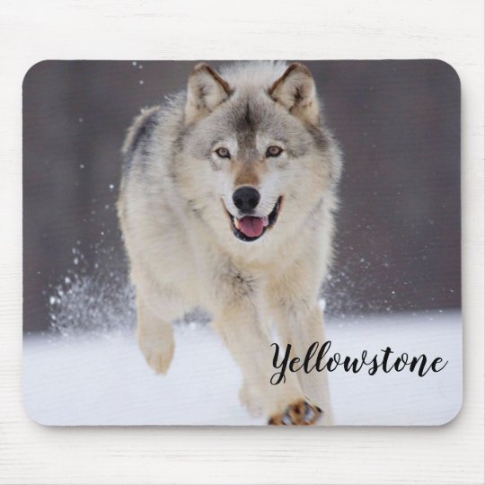 Mouse Pad-Yellowstone Wolf Mouse Pad | Zazzle.com