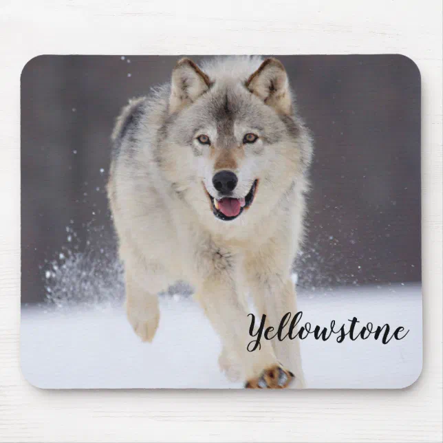 Mouse Pad-Yellowstone Wolf Mouse Pad | Zazzle