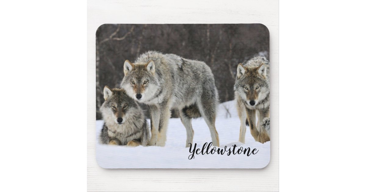 Mouse Pad-Yellowstone Wolves Mouse Pad | Zazzle