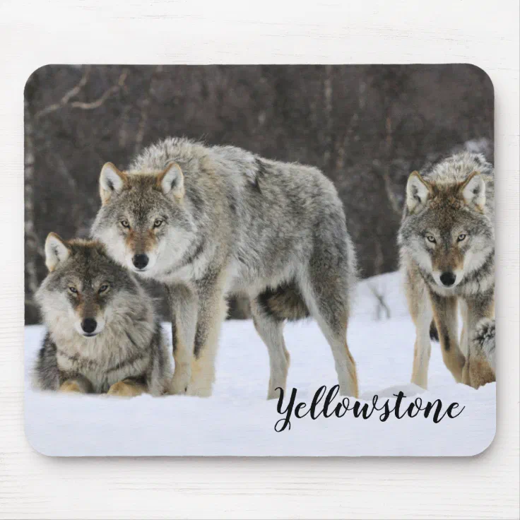 Mouse Pad-Yellowstone Wolves Mouse Pad | Zazzle