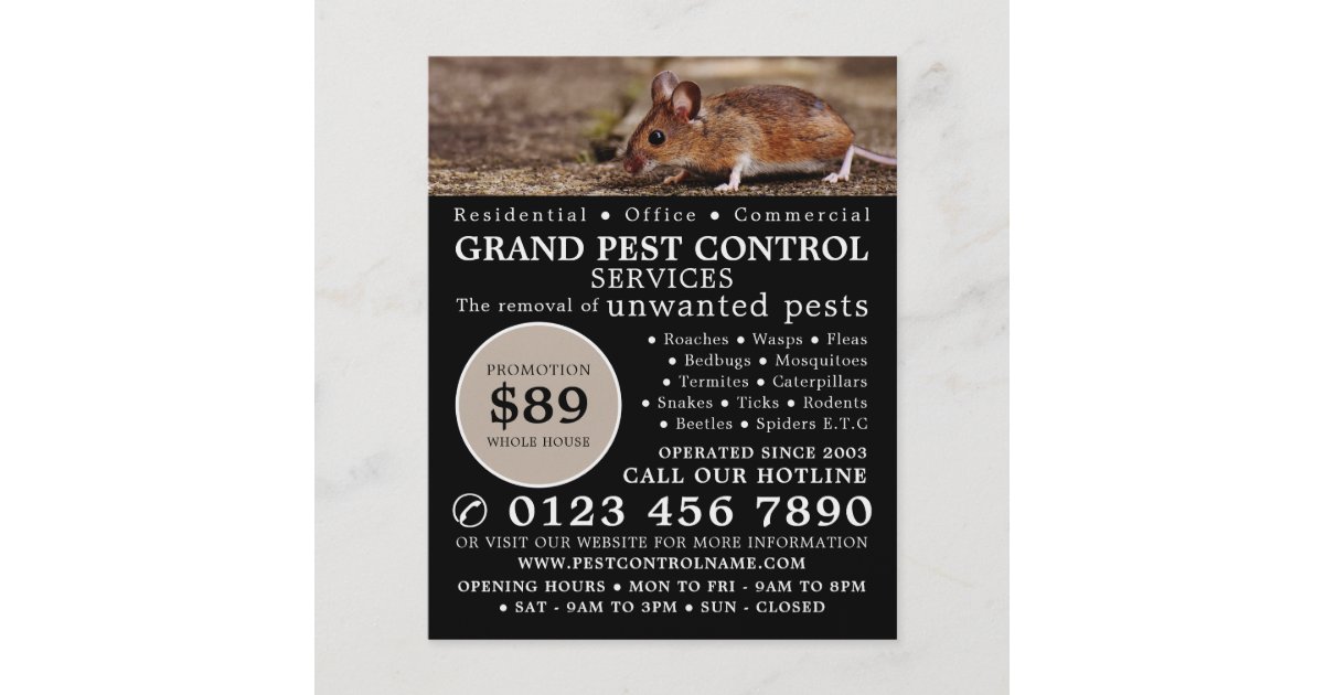Mouse, Pest Control Advertising Flyer | Zazzle