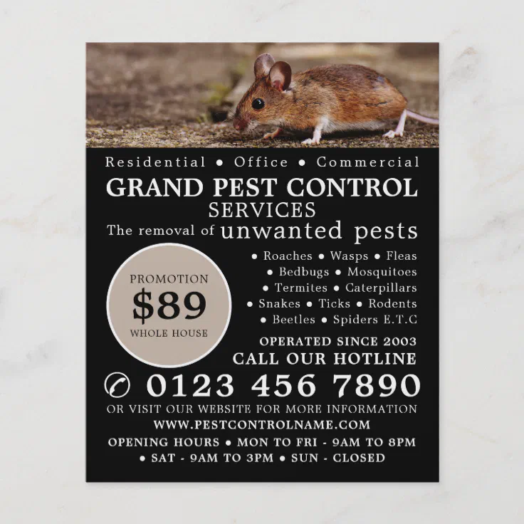 Mouse, Pest Control Advertising Flyer | Zazzle