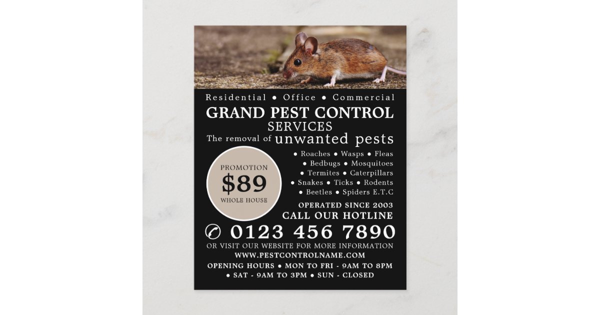 Mouse, Pest Control Advertising Flyer | Zazzle